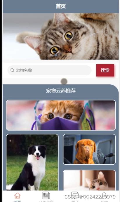 微信小程序 java云宠物领养系统uniapp框架python 云认养小程序 csdn博客