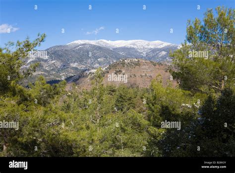 Mount Olympus On The Troodos Massif Viewed From Near Mandria Cyprus