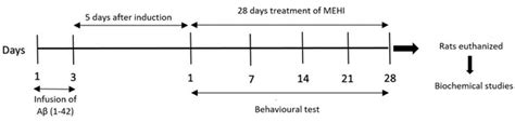 Diagrammatic Scheme Of An Experimental Procedure Download Scientific Diagram