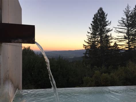 Diva Visionary Winemaker Danielle Cyrot Tango Diva