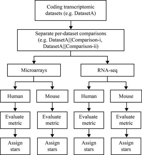 Fibromine
