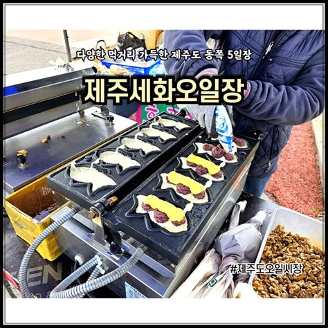 제주도 오일장 제주 세화오일장 날짜 시간 주차 제주도 5일장 먹거리 네이버 블로그