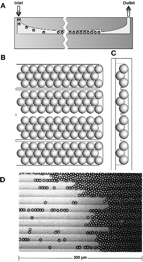 What Do Different Colors In Microarray Mean The Meaning Of Color