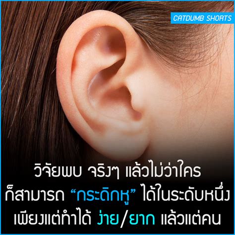 วิจัยพบ จริงๆ แล้วไม่ว่าใคร ก็สามารถ กระดิกหู” ได้ในระดับหนึ่ง