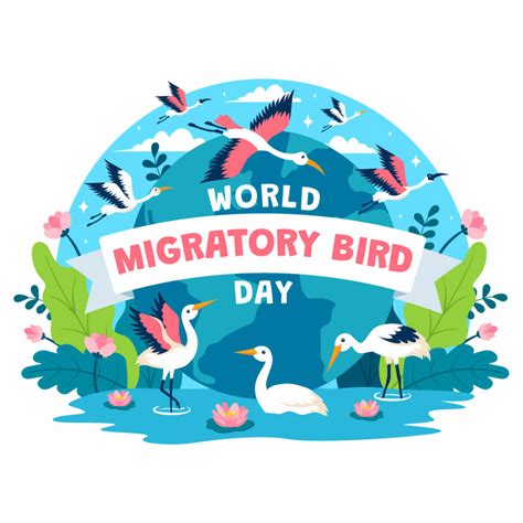 12 World Migratory Bird Day Illustration Masterbundles