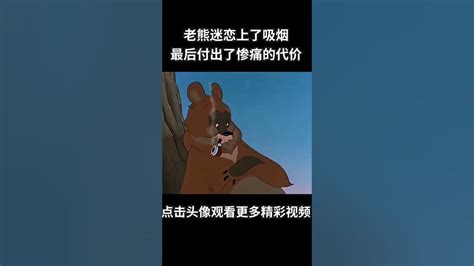 老熊迷恋上了吸烟，到最后却因此付出了惨痛的代价 动画 动画解说 动画短片 Youtube