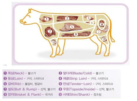 소고기 부위별 정보