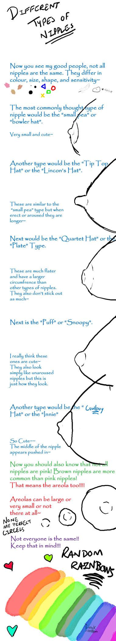 Different Types Of Nipples Parts Of The Breast Areola Nipple Milk