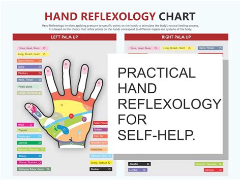 Hand Reflexology Chart Pressure Points Guide Wellness Map Pdf