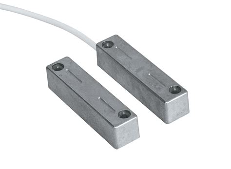 Reed Proximity Switch Miniature Ritm Industry