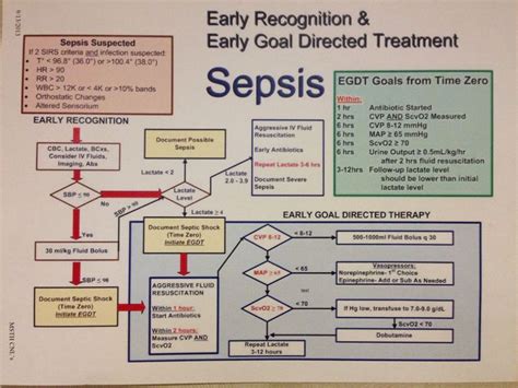 Concept Map For Sepsis Map Worksheets