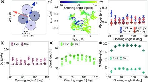 Diffusion Of Flexible Tetramer Loops A An Illustration Of The Download Scientific Diagram