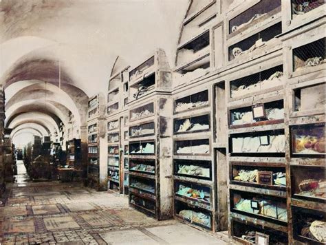 A Macabra Catacumbas Dos Capuchinhos Em Palermo Itália