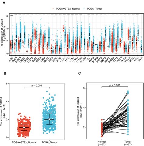 Dscc1 Expression Levels In Different Types Of Human Cancers A Ns