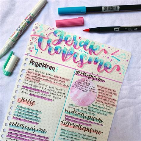 Jenis Jenis Fail Dan Warna Amiyahkruwespinoza