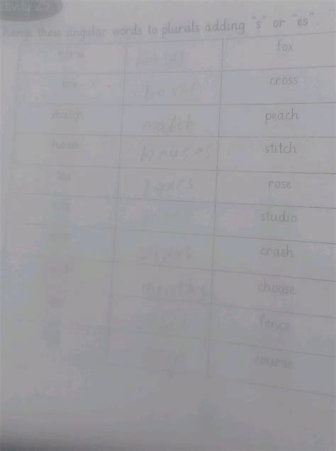 Hange These Singular Words To Plurals Adding Studyx