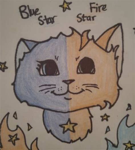 Bluestar And Firestar Warrior Cats