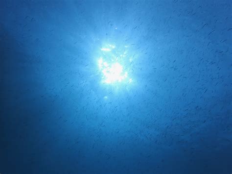 海から出たくない雲見2020年10月18日 iDive