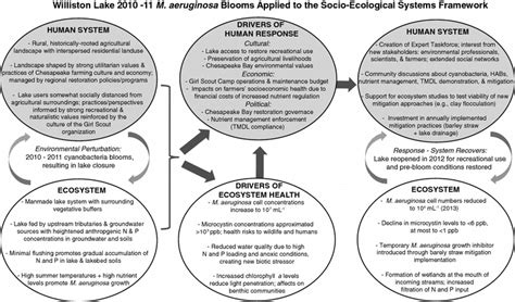 Socio Ecological Systems Framework Applied To Williston Lake The Left