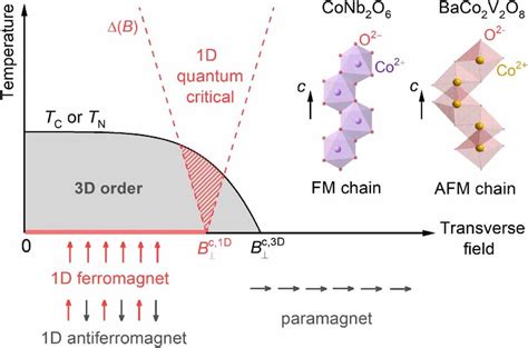 Schematic Phase Diagram Of Spin 12 One Dimensional And Download