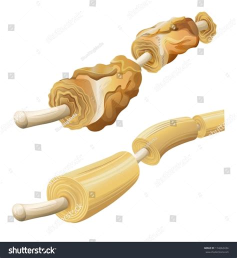 Myelin Sheath Over 373 Royalty Free Licensable Stock Vectors And Vector