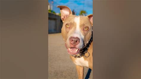 Sativa Ve Chuck La Tanışma Hikayemiz Doyamadım Bu Güzelliklere Umarım