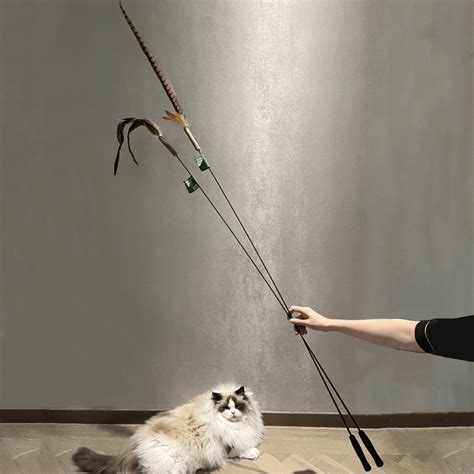Long Wand Cat Teaser With Feather Interactive Cat Toy Blueypet