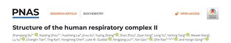 PNAS 饶子和 贡红日团队解析人源线粒体呼吸链复合物Ⅱ三维结构