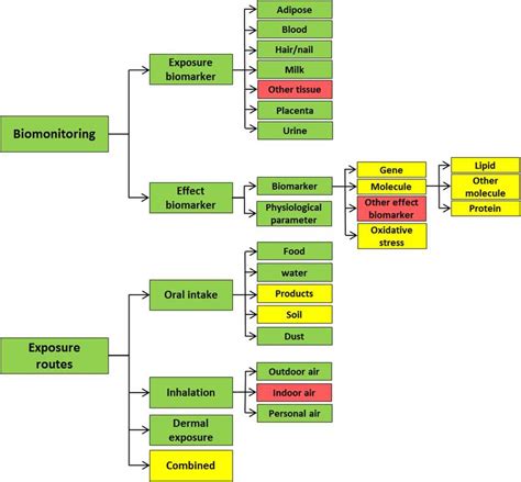 Results Of The Intrinsic Evaluation The Color Coding Is Based On