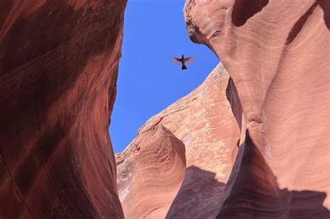 Antelope Canyon Rattlesnake Canyon Tour GetYourGuide