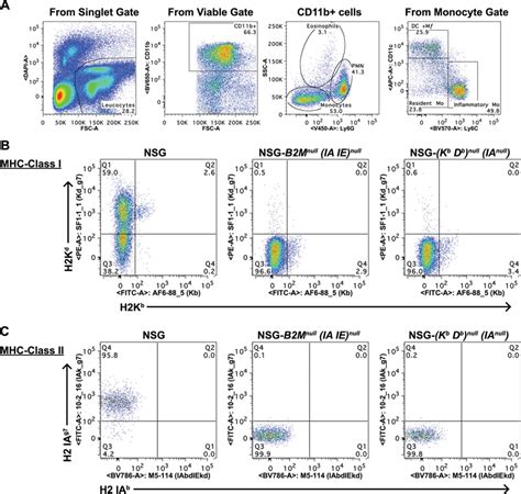 Representative Flow Cytometry Of Mhc Class I And Ii Expression In Nsg