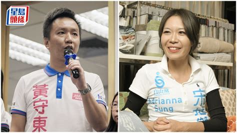 區議會增選委員公布 藝人宋芝齡、「亞視暖男」黃守東等有份 麥美娟：委任有3大原則
