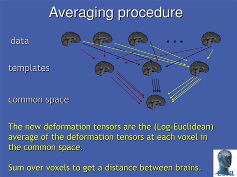 Ppt Generalized Tensor Based Morphometry Tbm For The Analysis Of