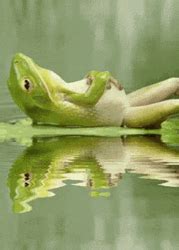Frog S Download And Share
