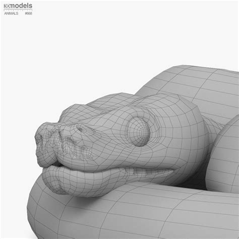Green Tree Python 3d Modeli İndir Sürüngen üzerinde