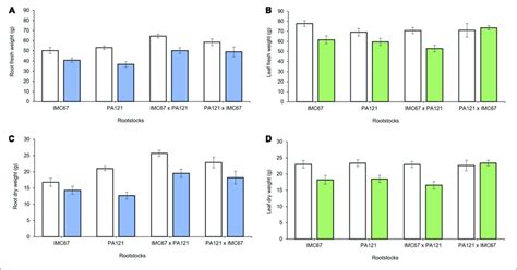 Plant Growth Of Rootstock × Scion Combinations 4 Months After