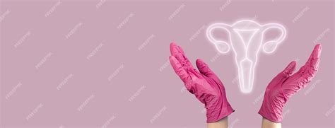 Premium Photo Womb Female Genital Reproductive System Banner Background