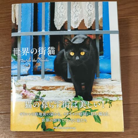 ★送料無料 即決♪ D 世界の街猫 パイインターナショナル／編著 写真集 フォトブック Vv④ Yahooauction