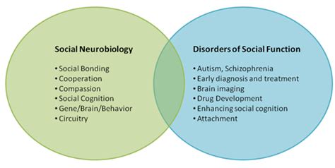 Neurotransmitter Venn Diagram