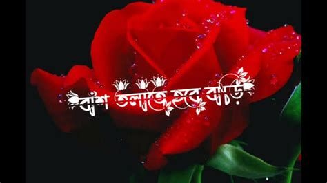 মানুষ তুমি মরার পরে সবই তুমার পর Youtube