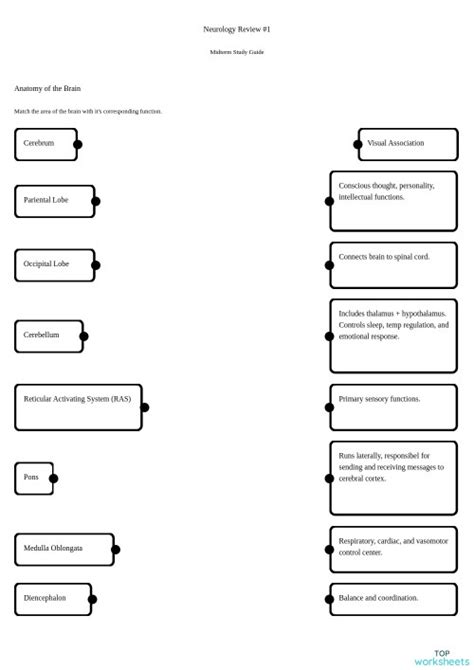Ecce Sample 2021 Reading Interactive Worksheet Topworksheets