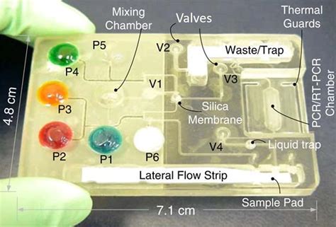 Materials And Fabrication Techniques For Microfluidics Chip And Tubing