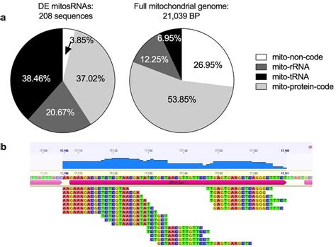 Differentially Expressed Mitosrnas Align To Coding And Non Coding