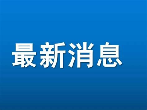 石头理财投资人最新回款消息2022兑付和清退政策最新公布 我们一起喵喵喵A 站酷ZCOOL