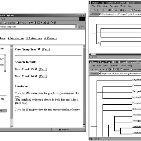 An Example Query And Search Results In The Structure Based Search