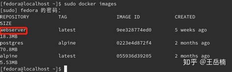 Docker中运行golang编写web连接数据库程序 知乎