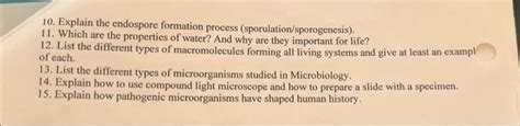 Solved 10 Explain The Endospore Formation Process