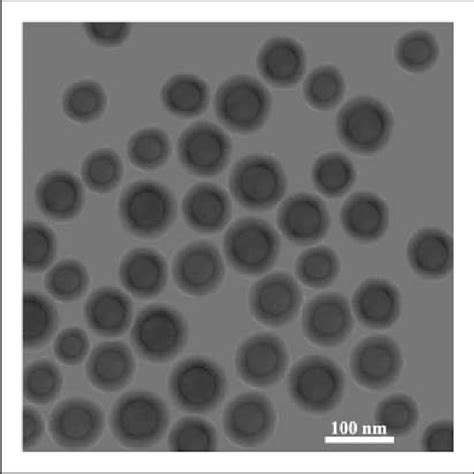 Tem Image Of Ps Silica Core Shell Particle After Sol Gel Process