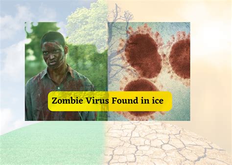 Zombie Virus Impacts Of Climate Change On Re Emergence Of Viruses Climate Fact Checks
