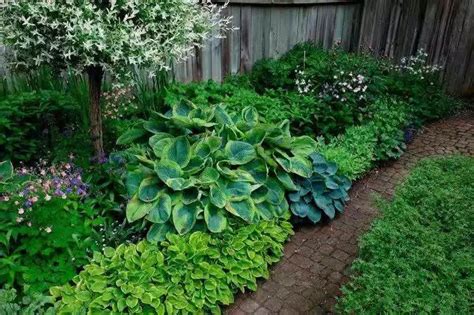 花境又有大动作 ¦ 2019花境花园产业植物展将在常州举办！ 搜狐大视野 搜狐新闻